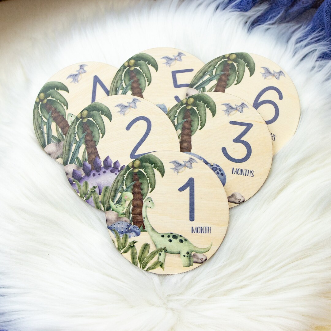Dinosaur Milestone Cards, Baby Milestone Dinosaur Discs Marker, Wood ...