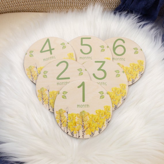 Aspen Trees Milestone Cards Baby Milestone Forest Markers - Etsy
