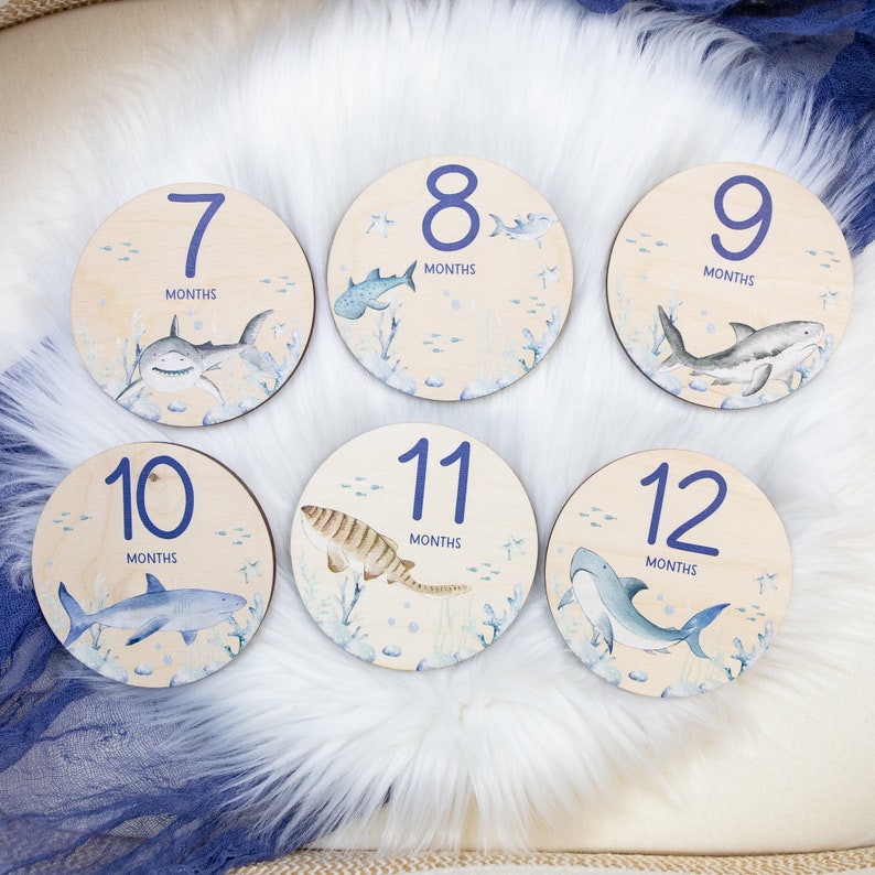 Shark Milestone Cards, Baby Milestone Ocean Life Discs Marker, Wood ...