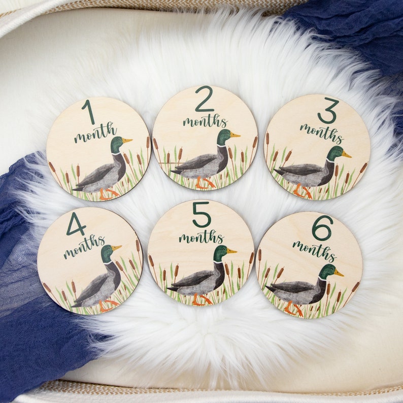 Duck Milestone Cards, Baby Milestone Duck Discs Marker, Wood Milestone ...
