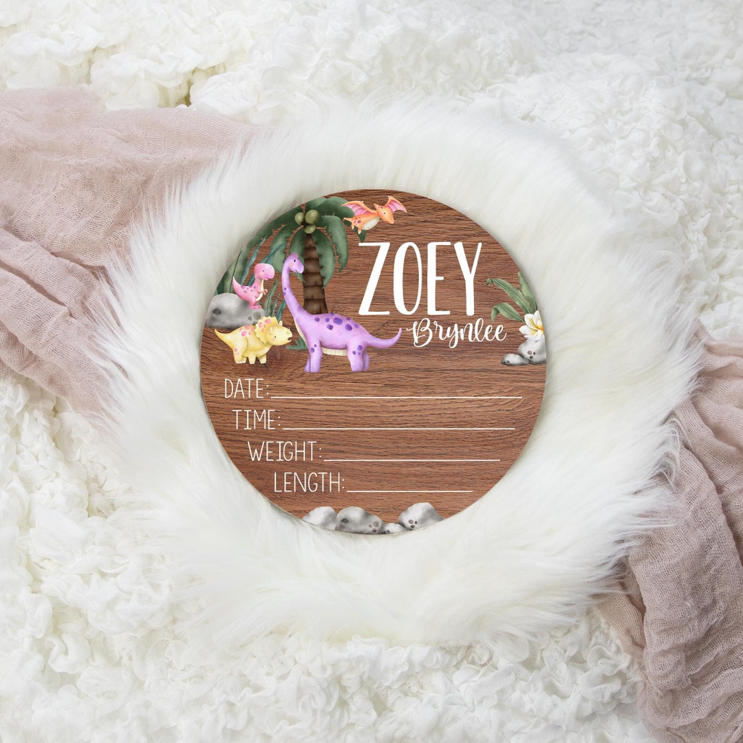 Girl Dinosaur Birth Stat Sign, Round Wood Birth Stat Sign, Dinosaur ...