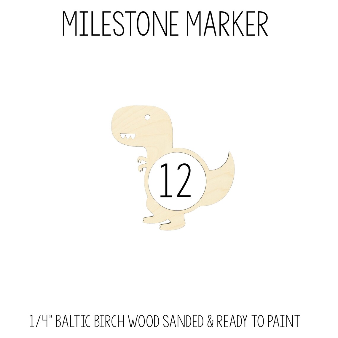Dinosaur Milestone Marker Baby Milestone Blanket Marker - Etsy