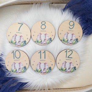 Elephant Milestone Cards, Baby Milestone Elephant Discs Marker, Wood ...