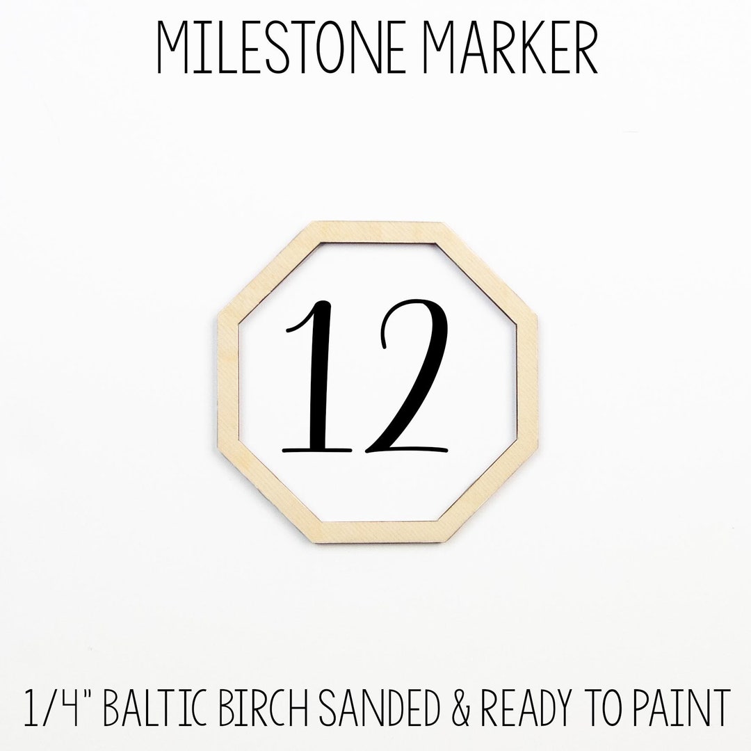 Octagon Milestone Marker, Baby Milestone Blanket Marker, Baltic Birch ...