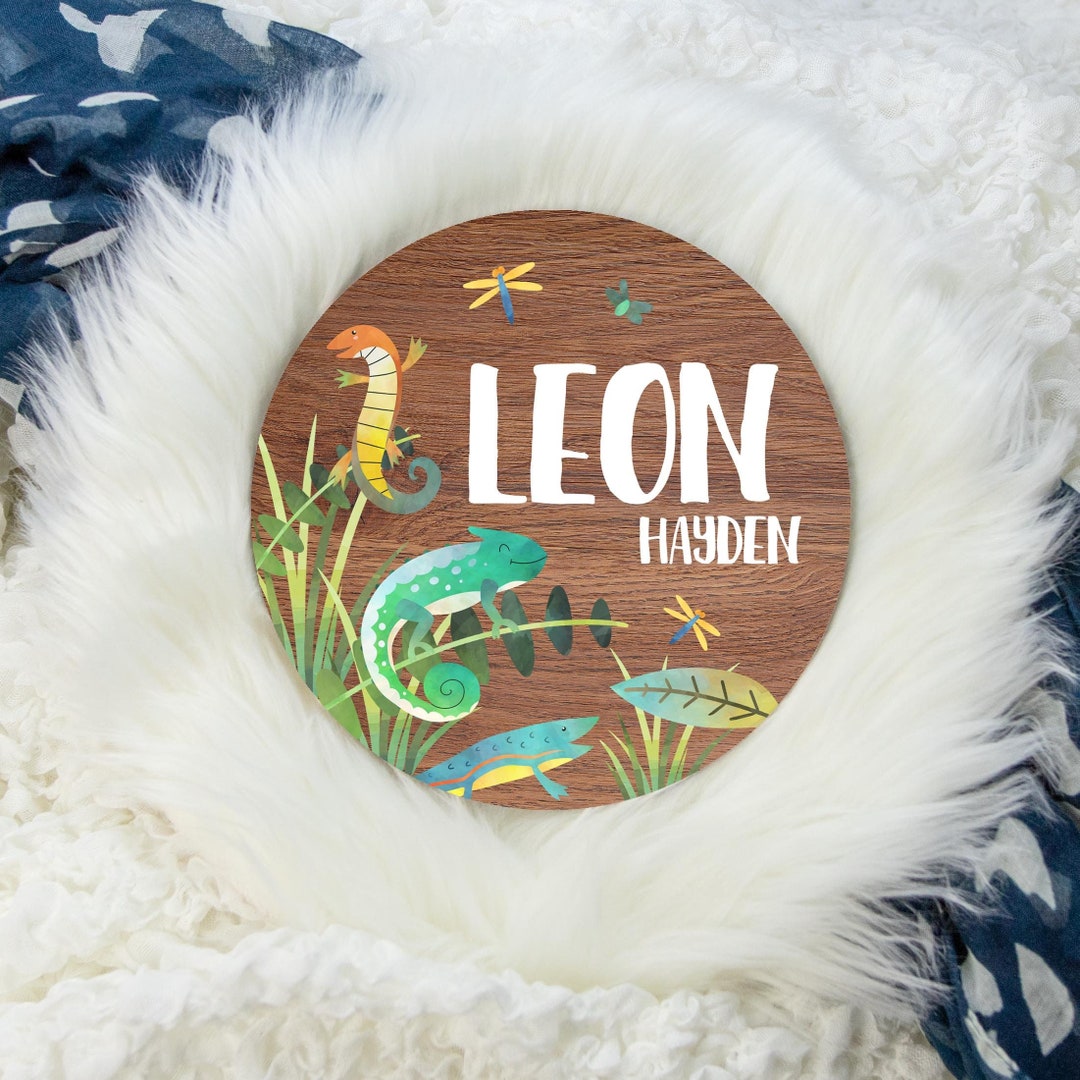 Reptile Round Wood Name Sign, Lizard Baby Sign, Round Wood Name Sign ...