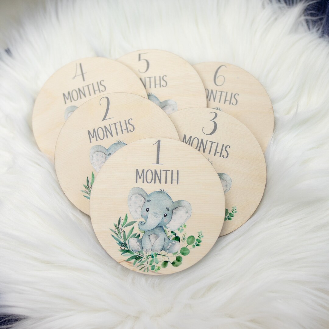 Elephant Milestone Cards, Baby Milestone Elephant Discs Marker, Wood ...