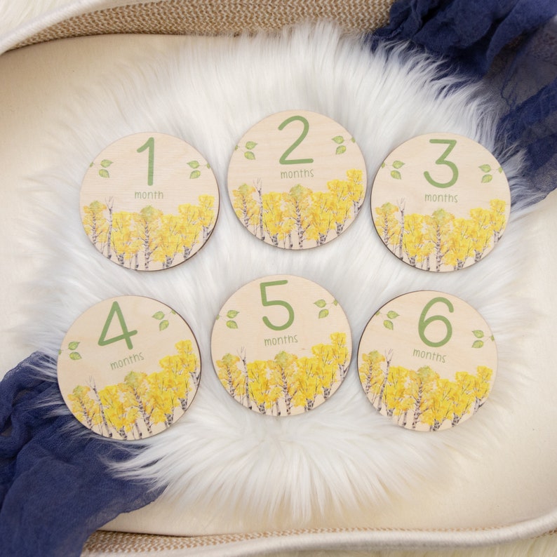 Aspen Trees Milestone Cards Baby Milestone Forest Markers - Etsy