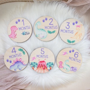 Dinosaur Milestone Cards, Baby Milestone Dinosaur Discs Marker, Wood ...
