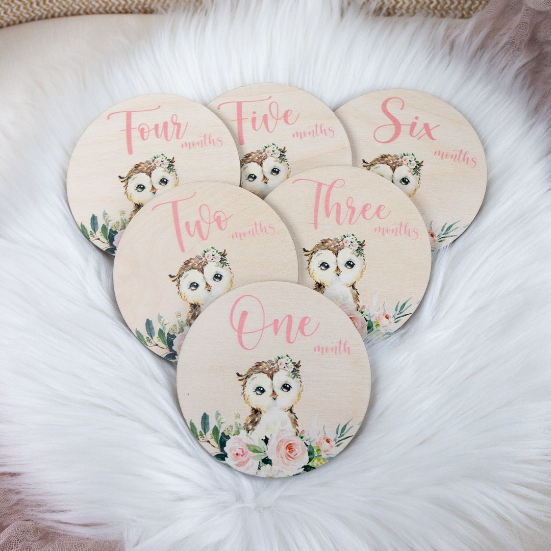 Owl Milestone Cards, Baby Milestone Woodland Discs Marker, Wood ...