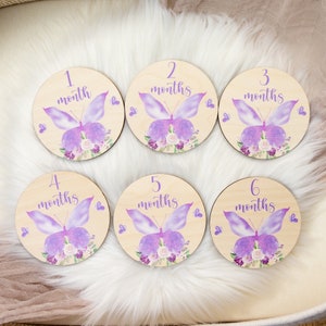 Butterfly Milestone Cards, Baby Milestone Butterfly Discs Marker, Wood ...