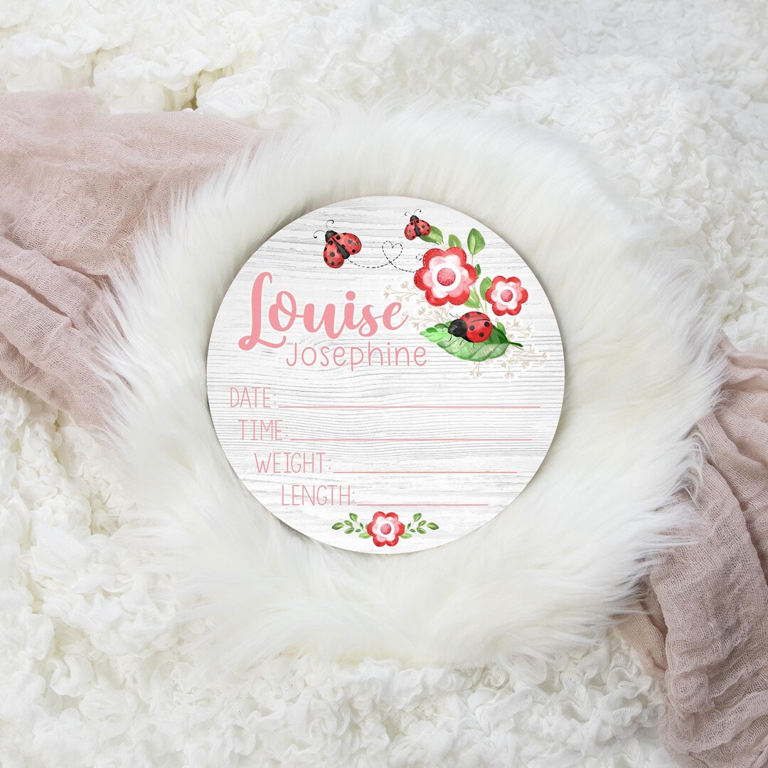 Ladybug Girl Birth Stat Sign, Ladybug Birth Stat Sign, Round Wood Birth ...