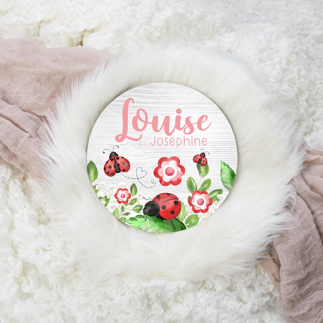 Ladybug Round Wood Name Sign, Wood Baby Name Sign, Ladybug Baby Name ...