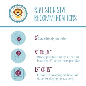 Girl Turtle Birth Stat Sign, Birth Stat Sign, Round Wood Birth Stat ...