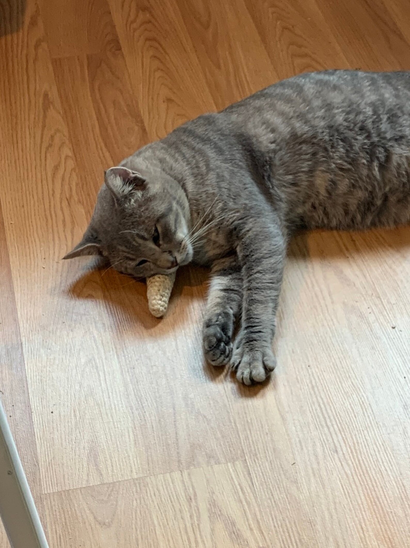 Hand Crocheted Cat Toy Doobie/joint Catnip - Etsy