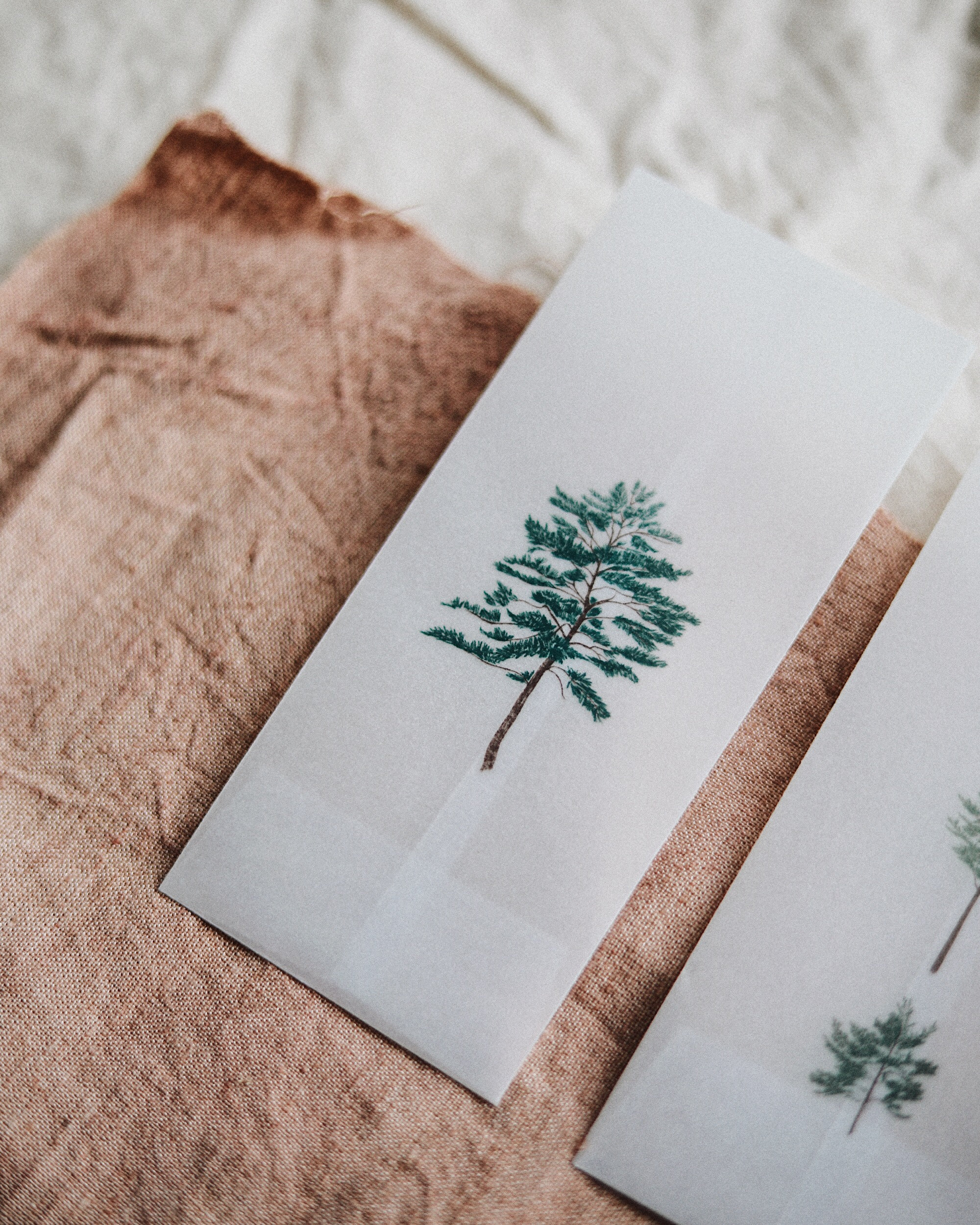 Envelope Set : Forest Transparent Tree Envelopes - Etsy