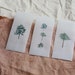 Envelope Set : Forest, Transparent Tree Envelopes - Etsy