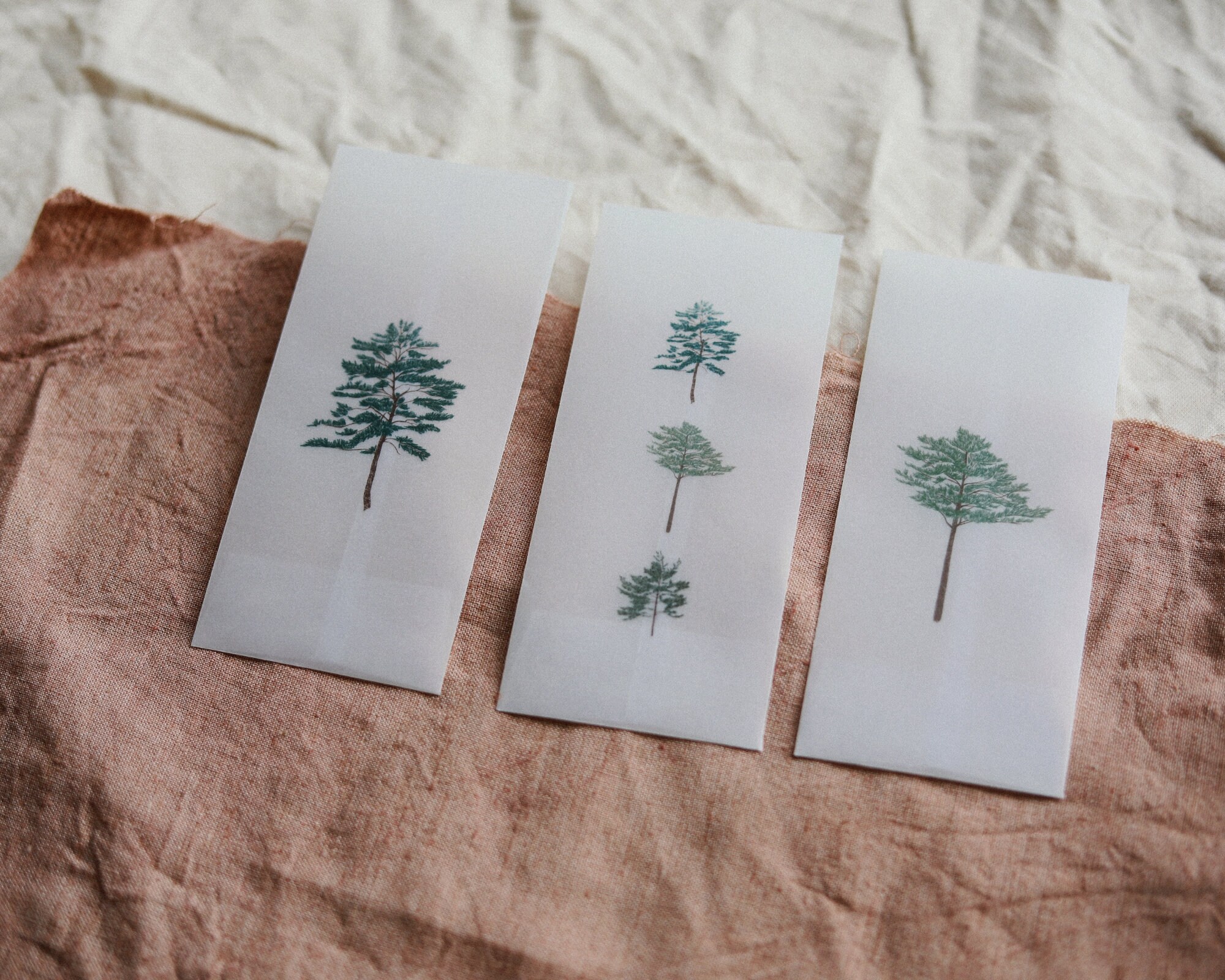 Envelope Set : Forest Transparent Tree Envelopes - Etsy