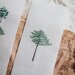 Envelope Set : Forest, Transparent Tree Envelopes - Etsy