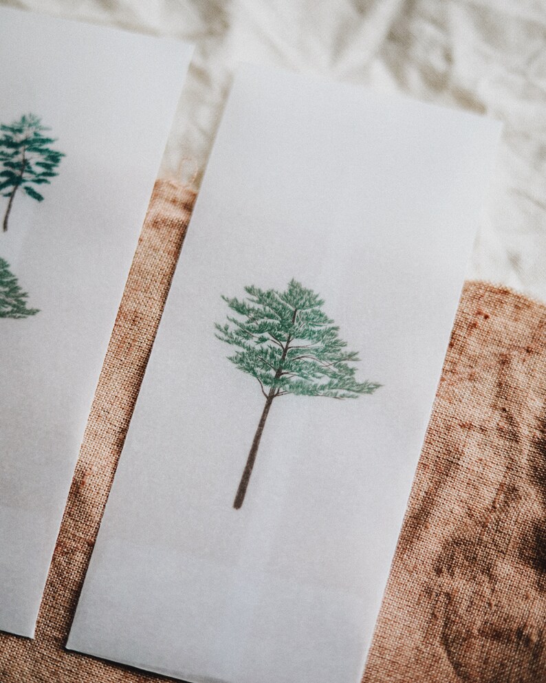 Envelope Set : Forest Transparent tree envelopes | Etsy