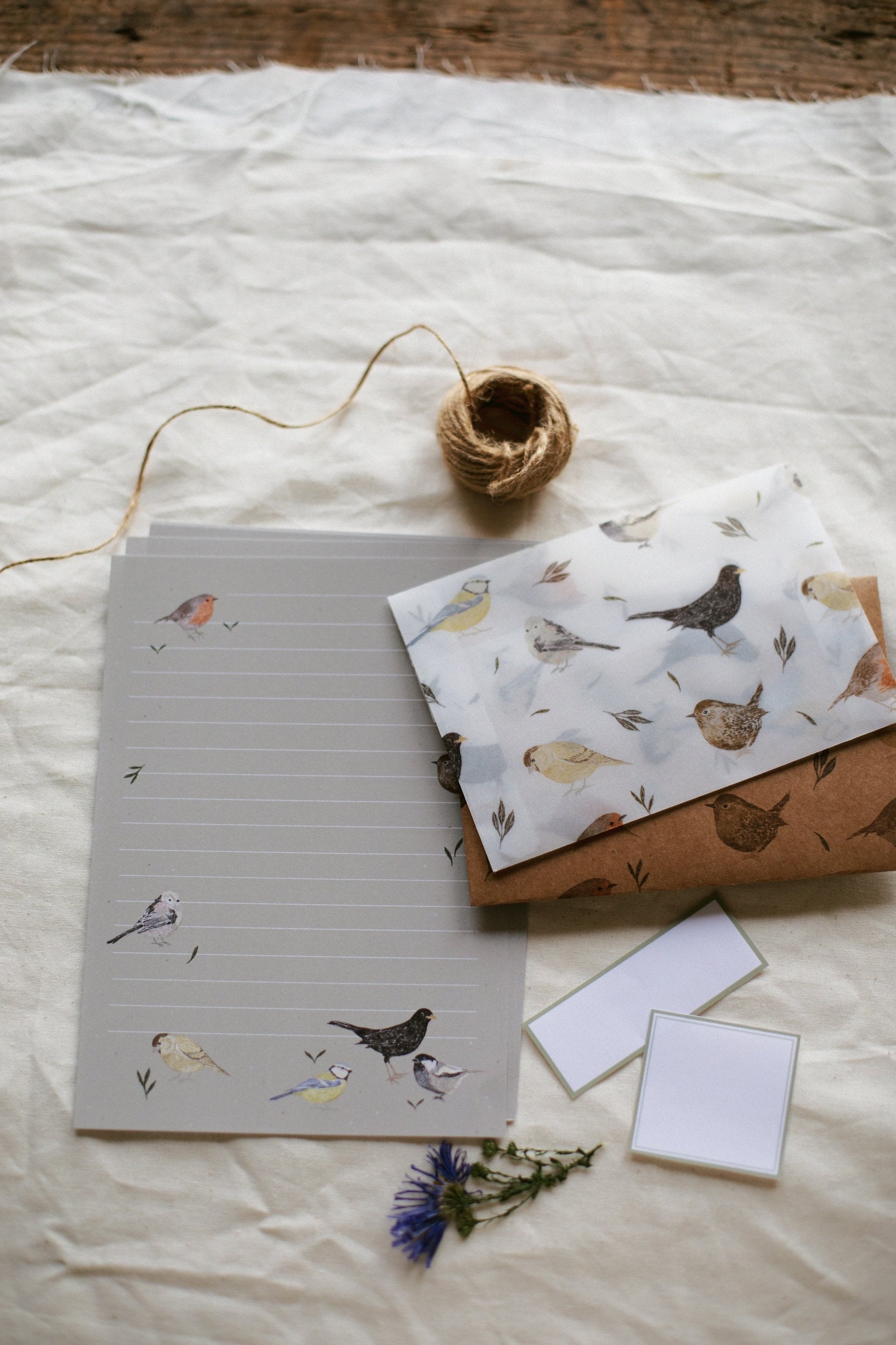 Letter Writing Set Birds in Our Garden - Etsy