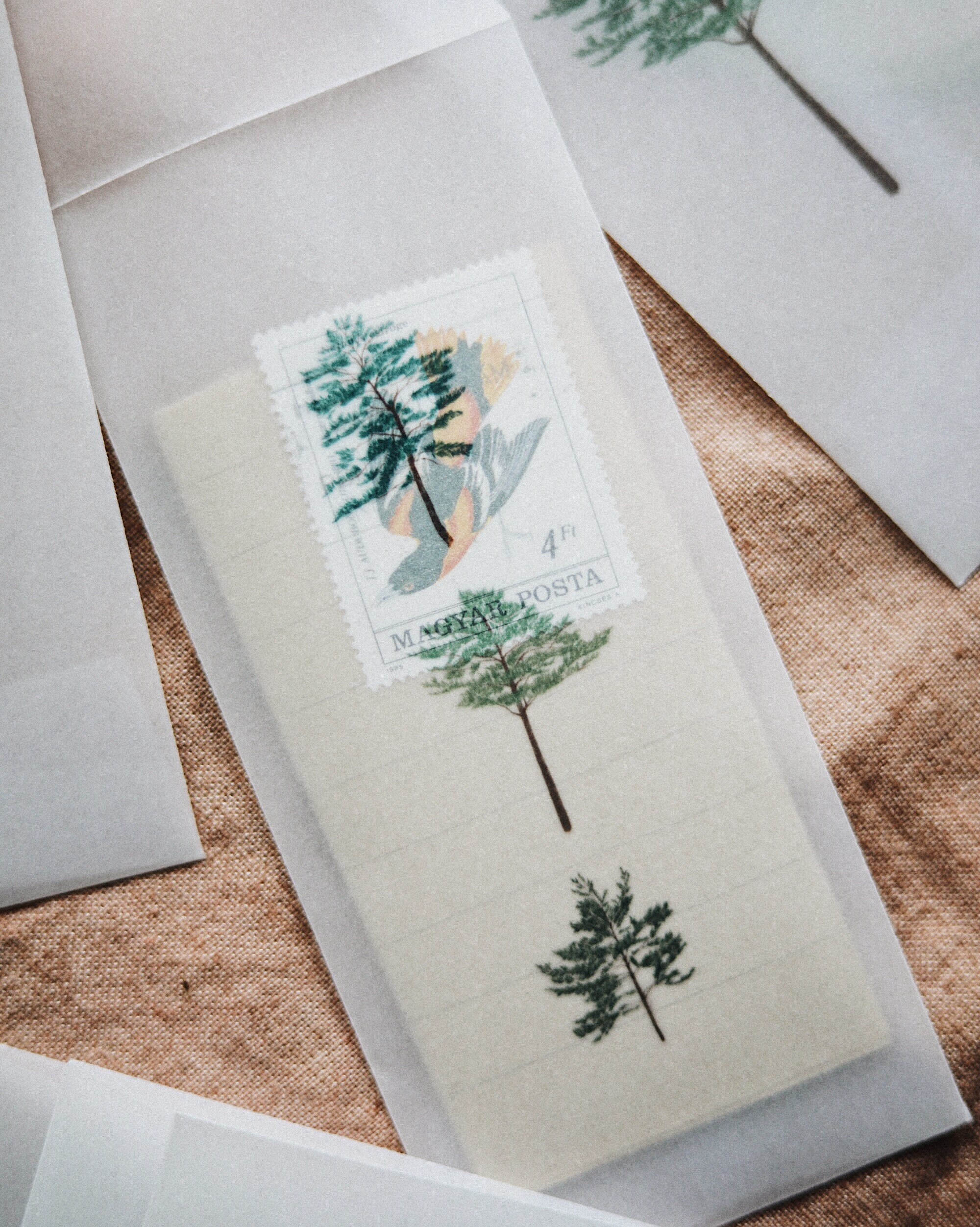 Envelope Set : Forest Transparent Tree Envelopes - Etsy