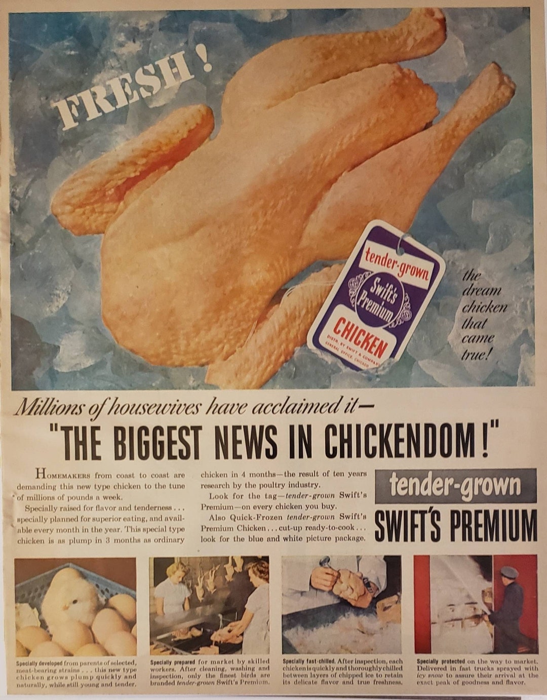 1951 SWIFT'S Premium Tender Grown Fresh Chicken Meat Poultry Food ...