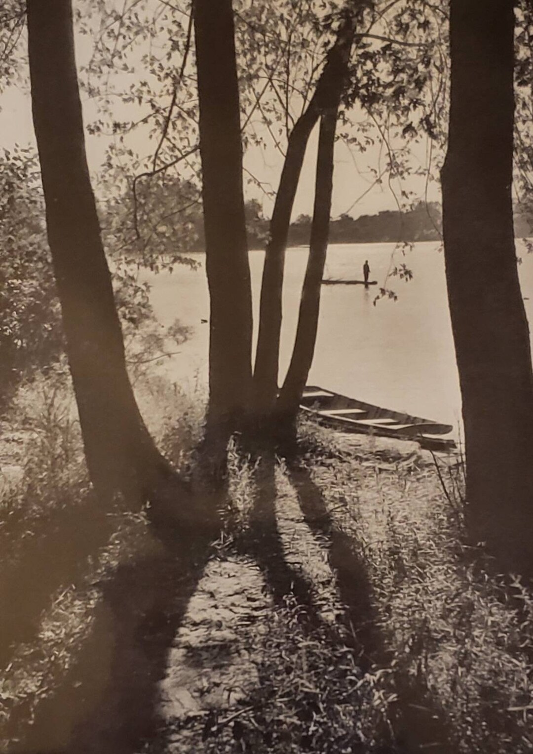 1931 MILAN ILLINOIS Rock River Boat Water Tree View Vintage Photo ...
