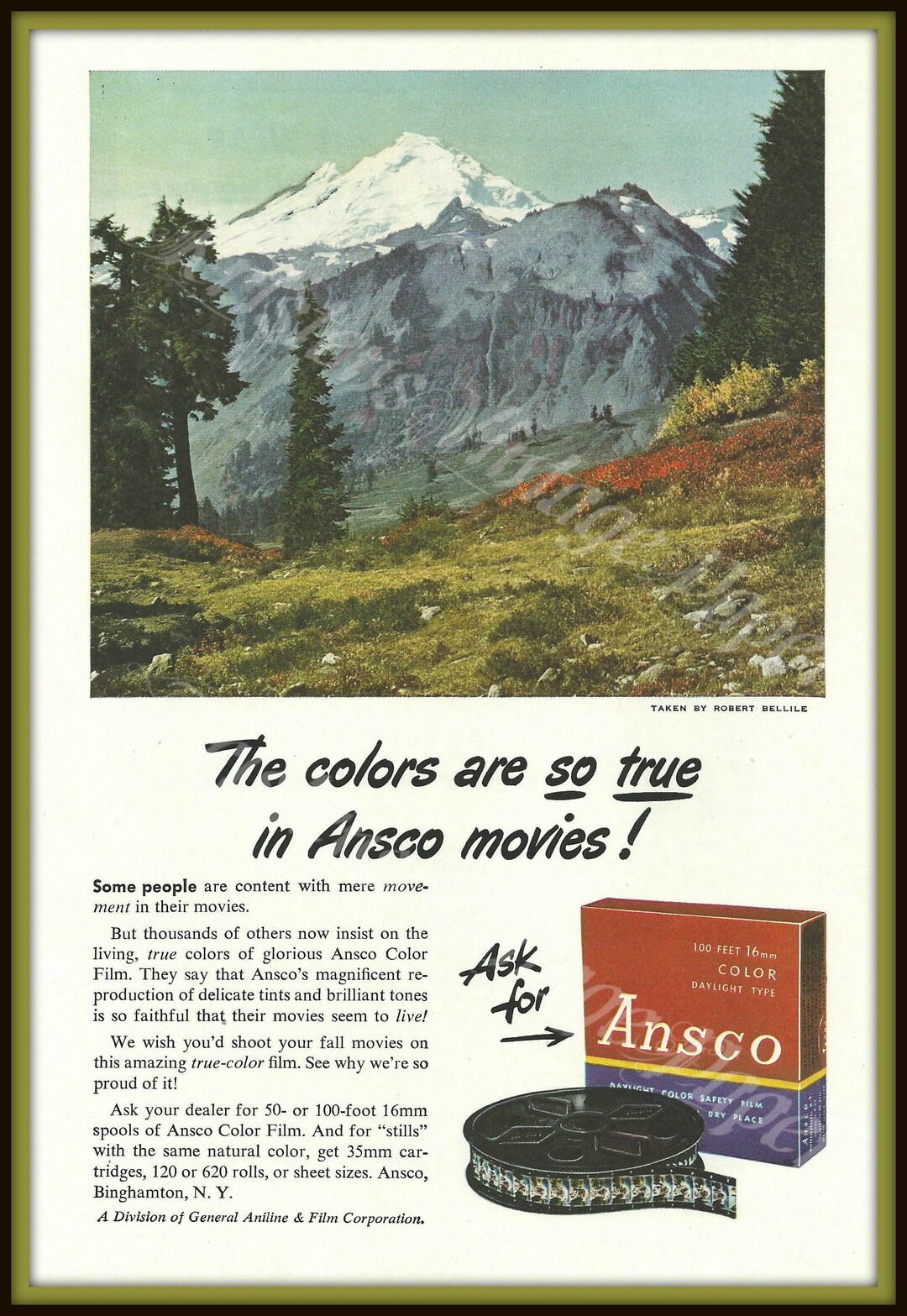 1950s Vintage Ad - Ansco Color Film - Polident - Dentures - Cleansing ...