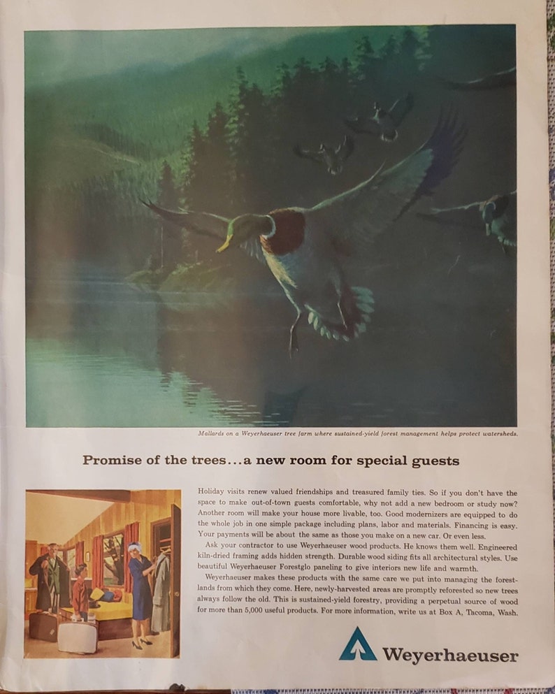 1963 WEYERHAEUSER Wood Products Trees Tree Farm Mallard Duck - Etsy