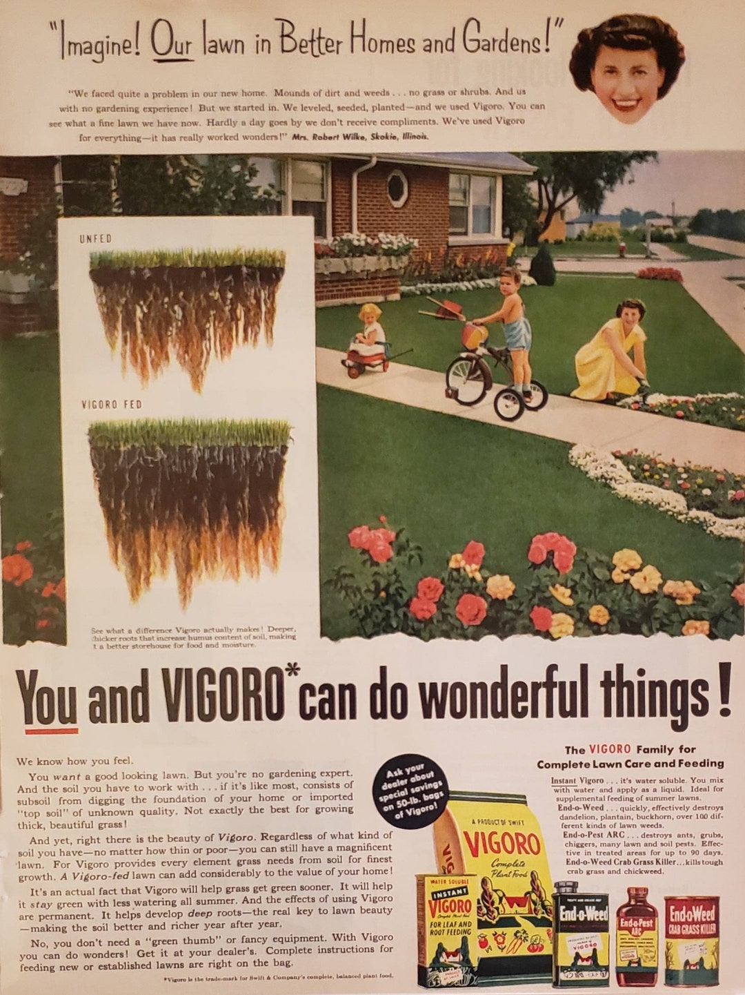1954 VIGORO Lawn Care Products Grass Fertilizer Weed Killer - Etsy Sweden