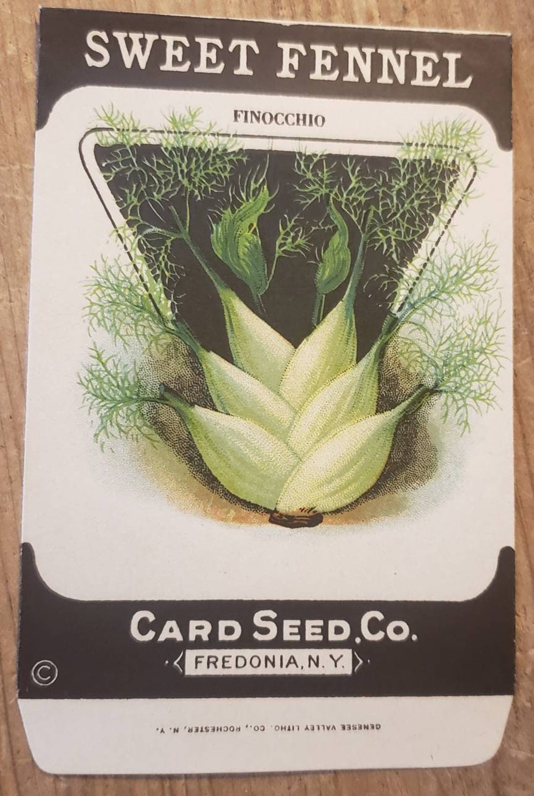 SWEET FENNEL Finocchio Card Seed Company Fredonia NY Original Vintage ...