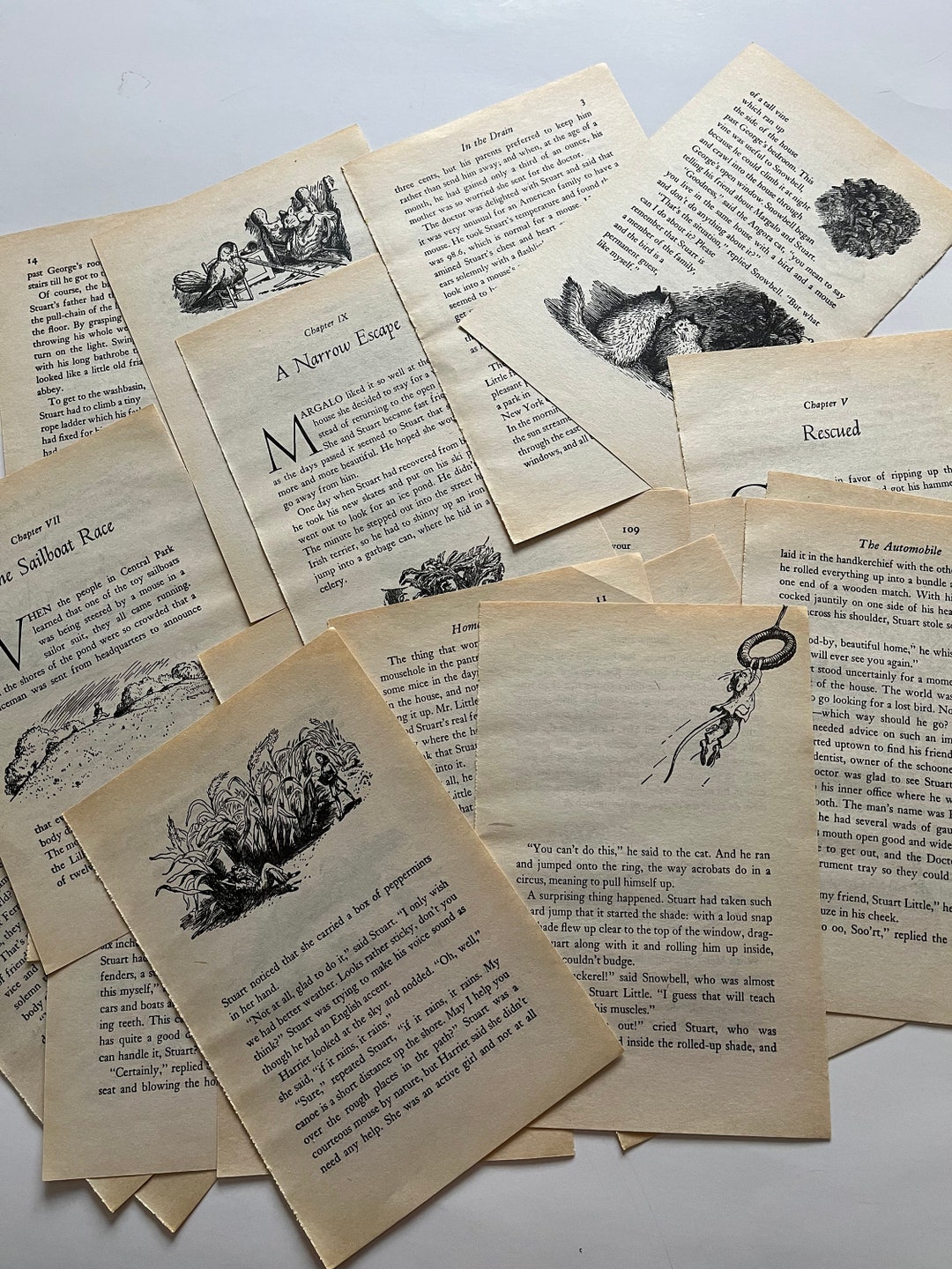 30 Vintage 1973 Stuart Little Book Pages-please Read Description - Etsy