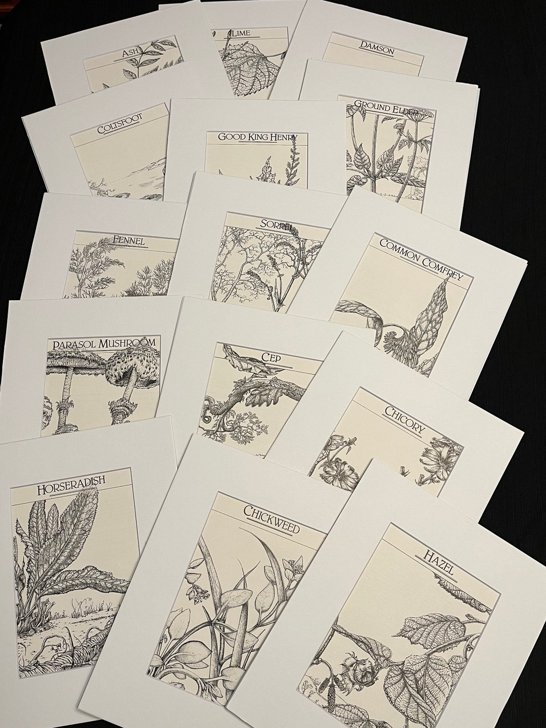 Matted Vintage Plant Book Pages-please Read Full Description - Etsy
