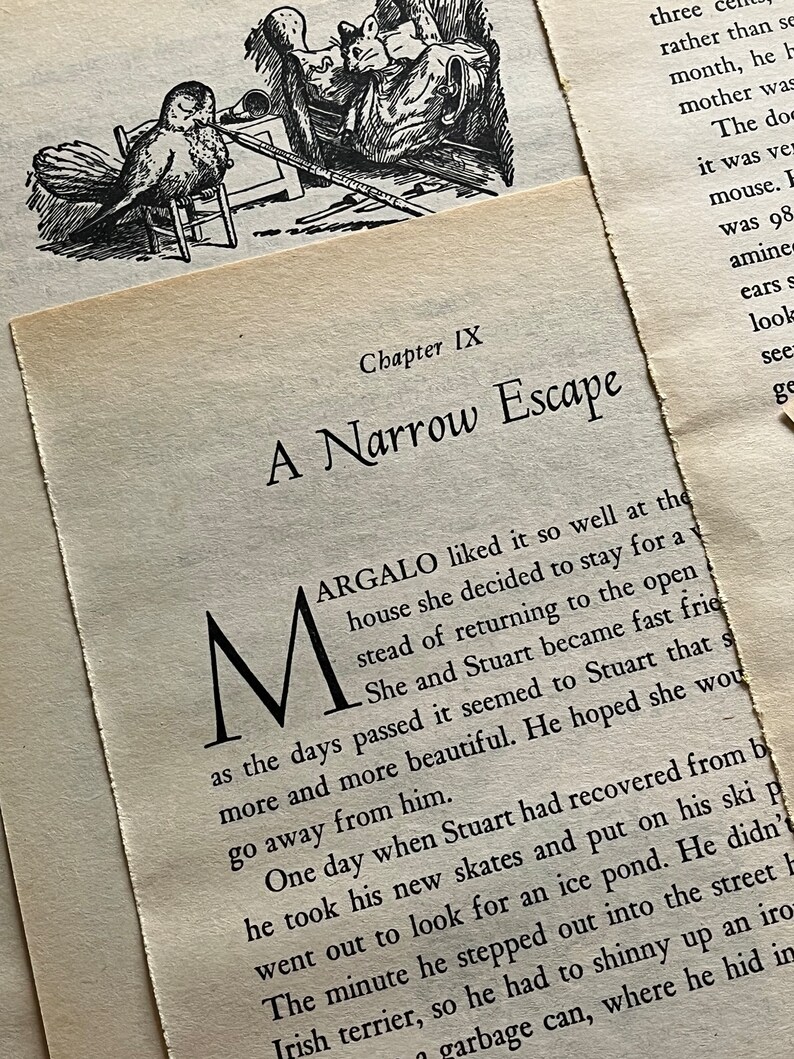 30 Vintage 1973 Stuart Little Book Pages-please Read - Etsy