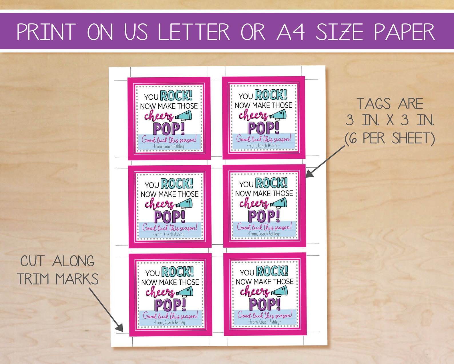 Cheerleading Good Luck Tags, Cheer Competition Tags, Team Gift Tags ...