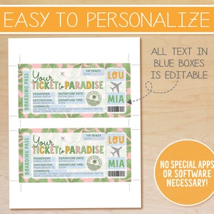 Editable Boarding Pass Template, Beach Plane Ticket, Surprise Vacation ...