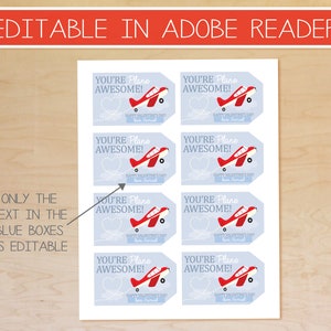 Airplane Valentine Tag, Kids Airplane Valentines, Classroom Valentine ...