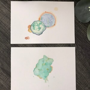 Custom Embryo Art - Embryology Watercolor Painting- Fertility Doctor ...