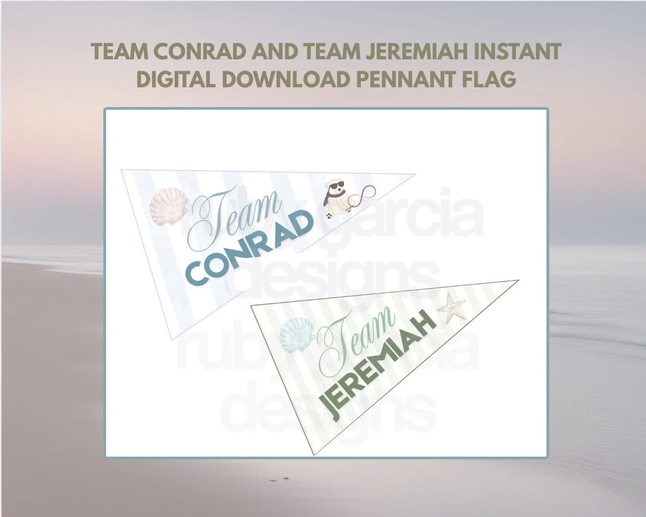 Team Conrad Flag Who Buys The Beach House In The Summer I Turned Pretty ...