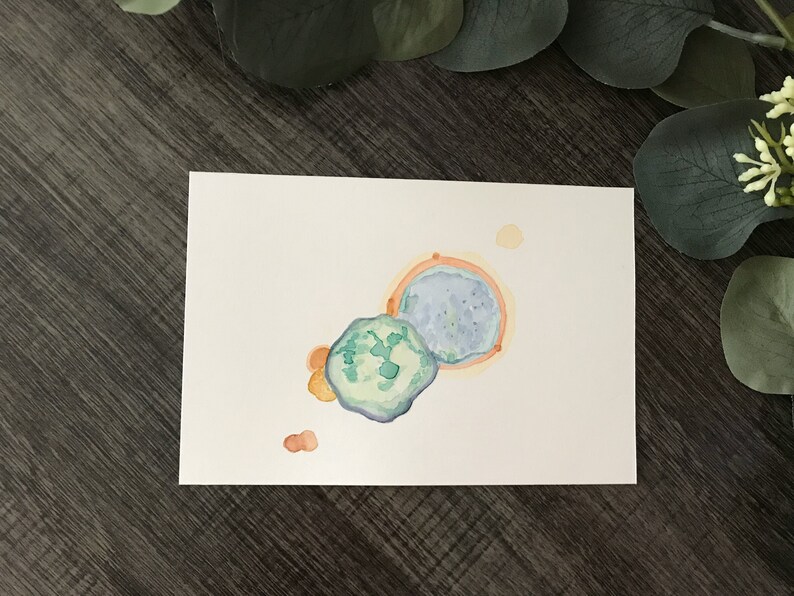 Custom Embryo Art Embryology Watercolor Painting Fertility - Etsy