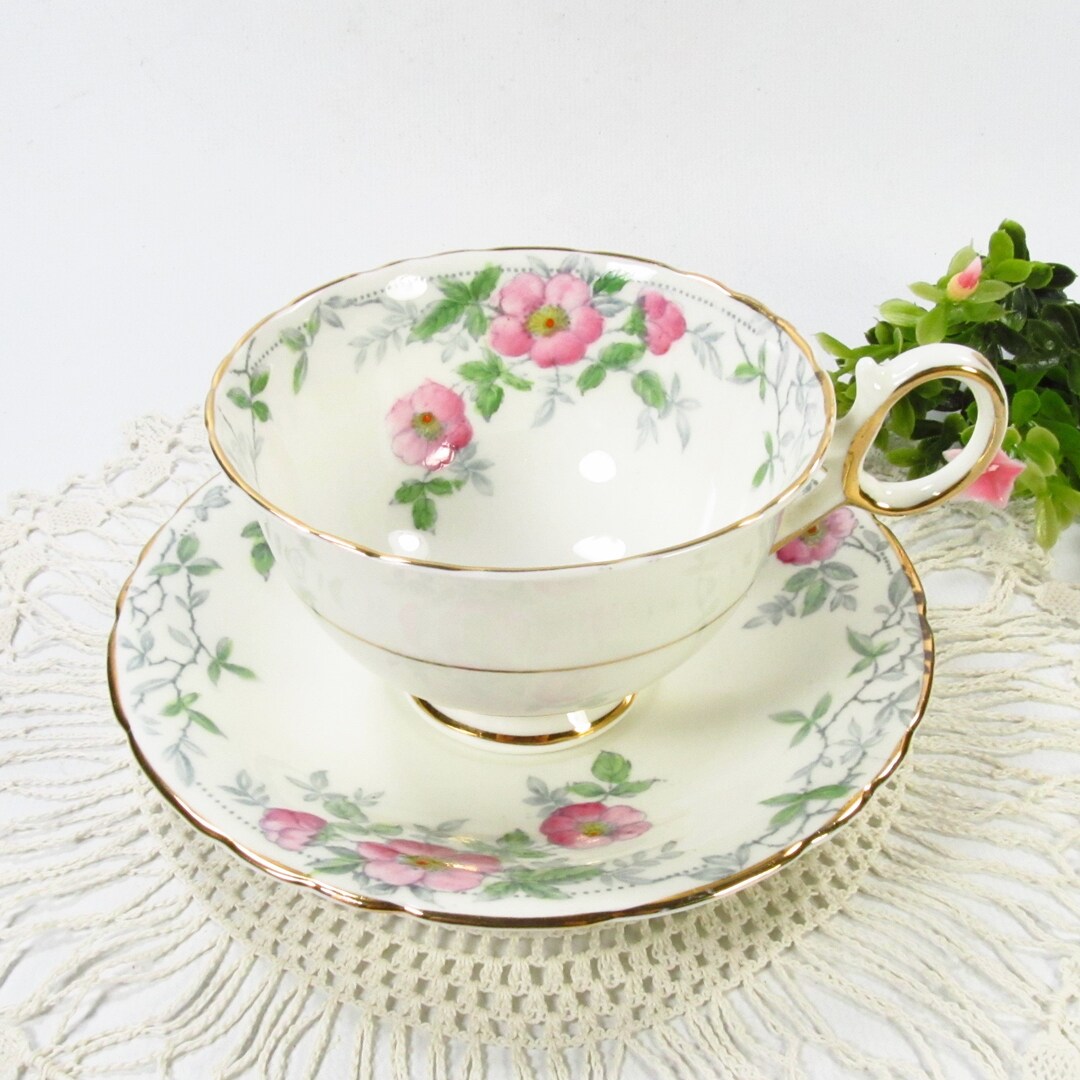 Vintage Pink Wild Roses Tea Cup and Saucer, Delphine Bone China, 5052 ...