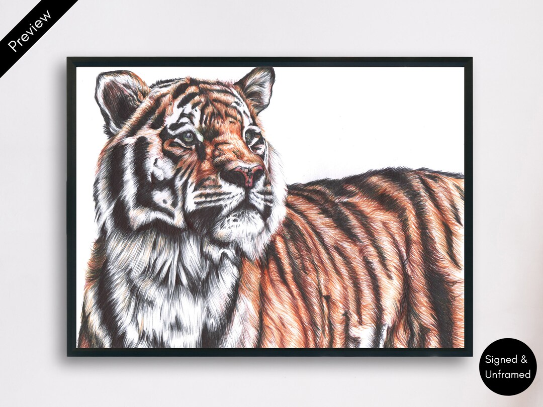 Colourful Tiger Art Print - Tiger Portrait, Tiger Illustration, Big Cat ...