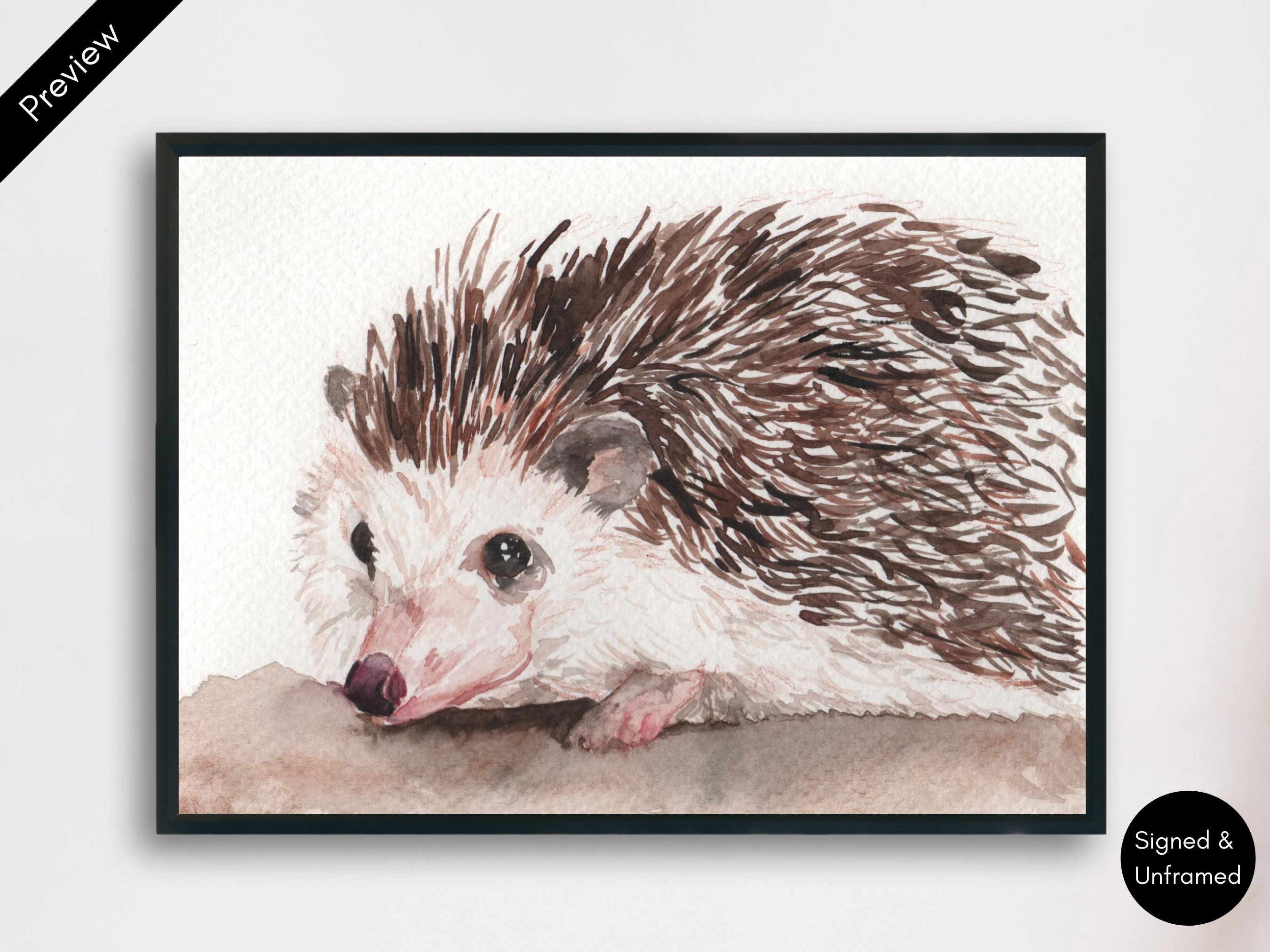 Colored Pencil European hedgehog *A5 Print* Drawing & Illustration etna ...