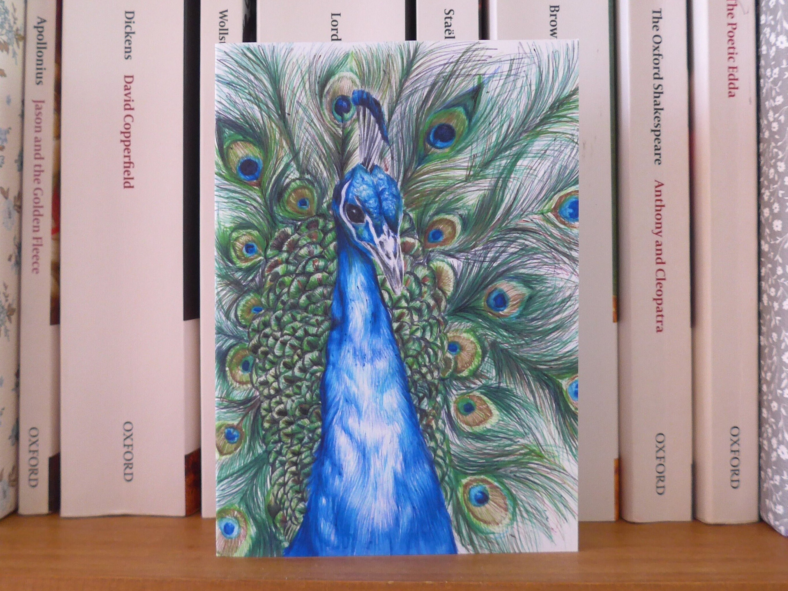 Peacock Card Peacock Birthday Card Colourful Peacock - Etsy