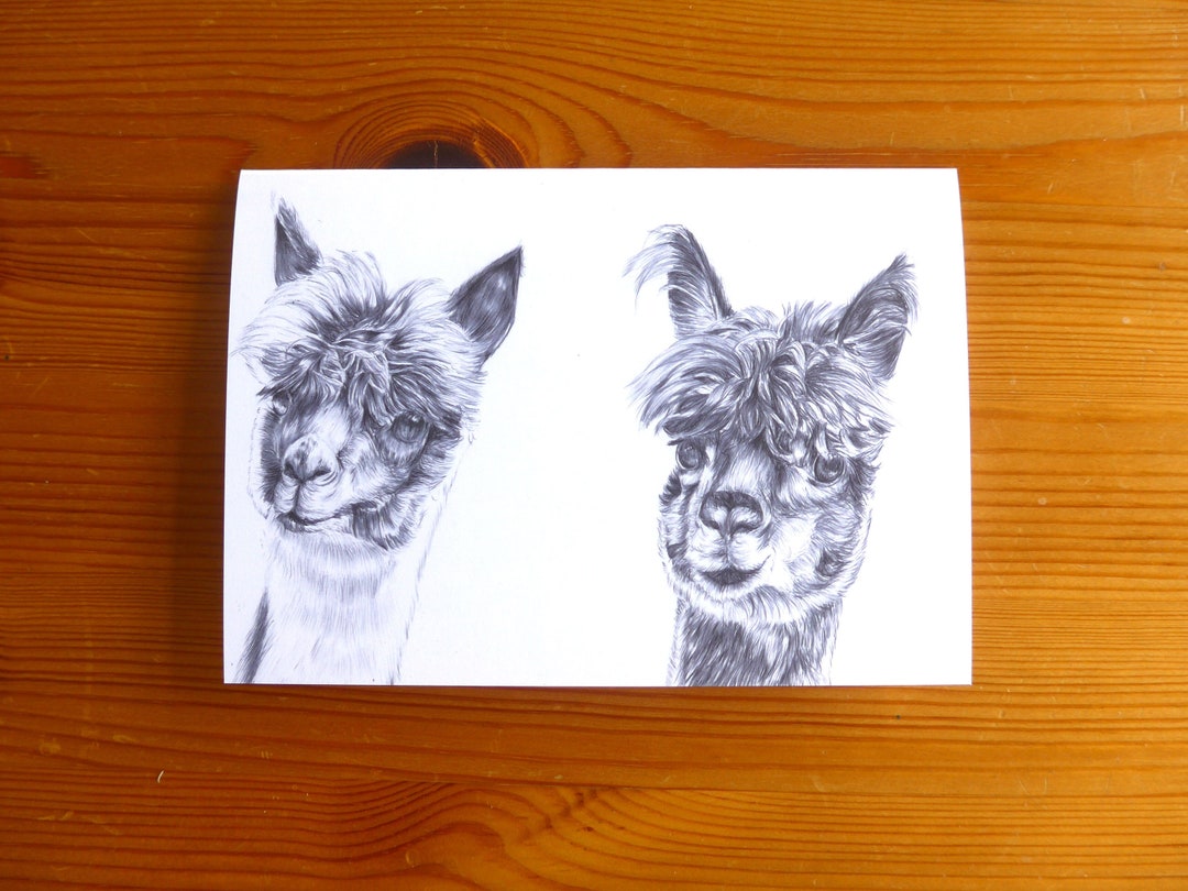 Alpaca Card – Llama Card, Llama Anniversary Card, Cute Alpaca Birthday ...