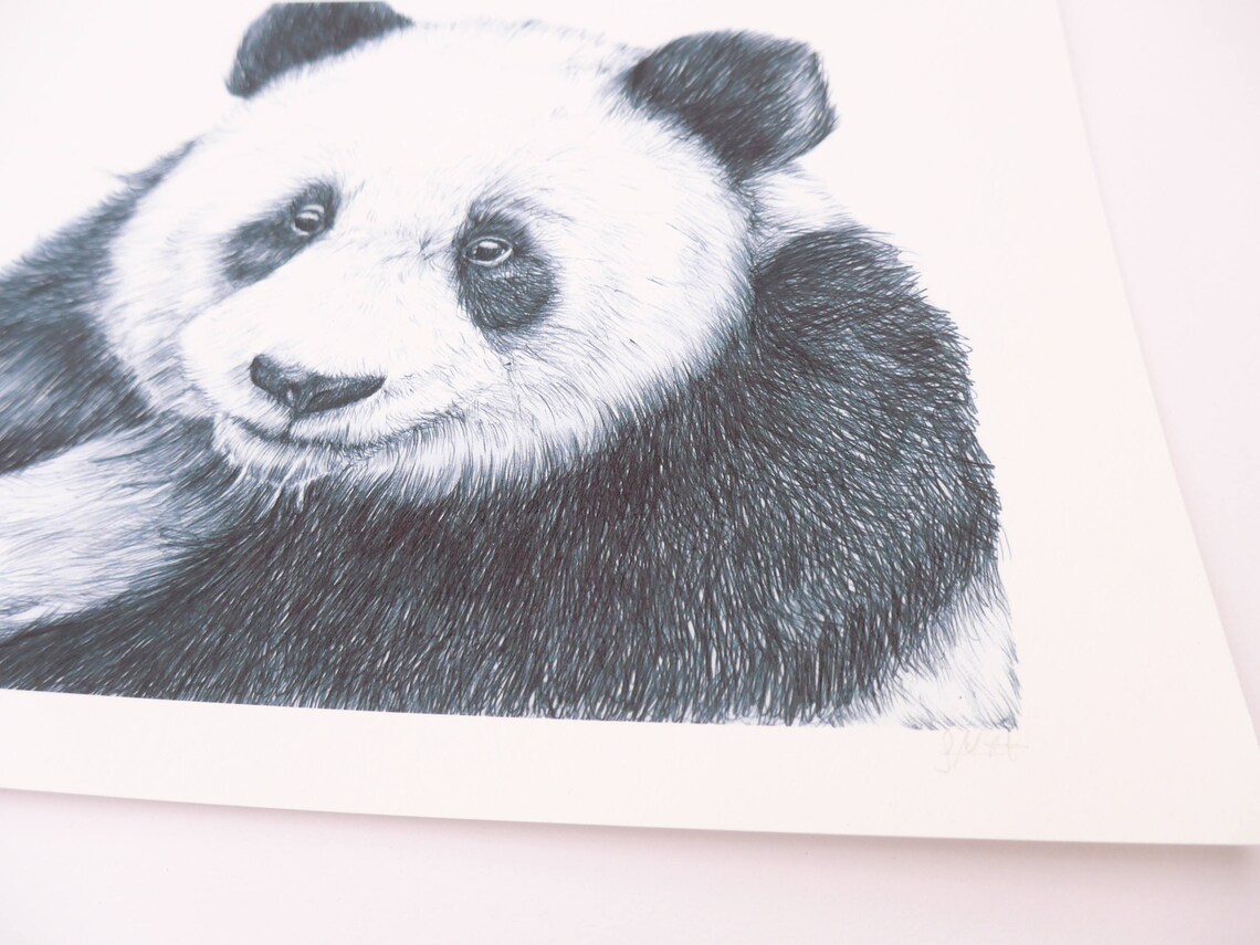 Giant Panda Art Print Panda Gift Idea Original Panda - Etsy UK