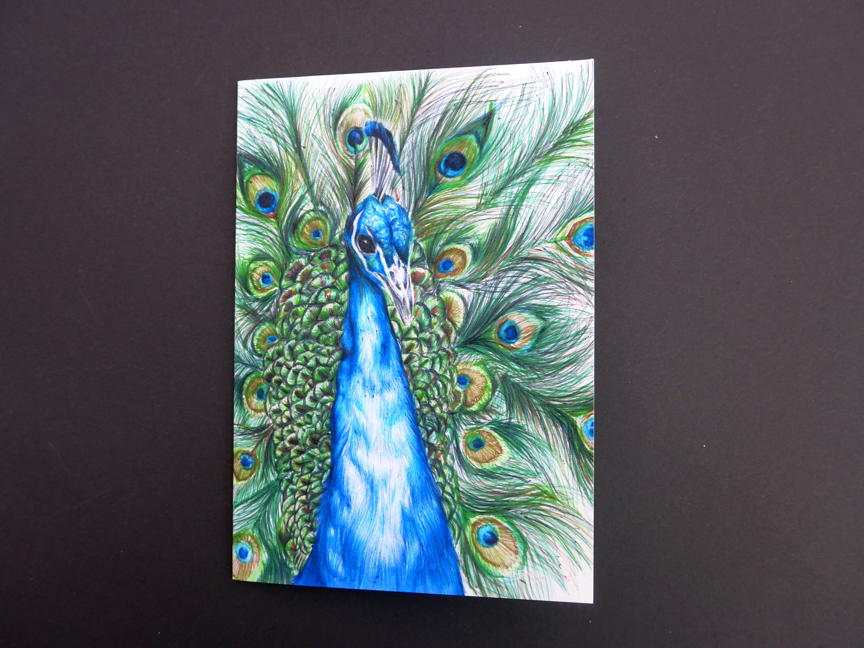 Peacock Card Peacock Birthday Card Colourful Peacock - Etsy