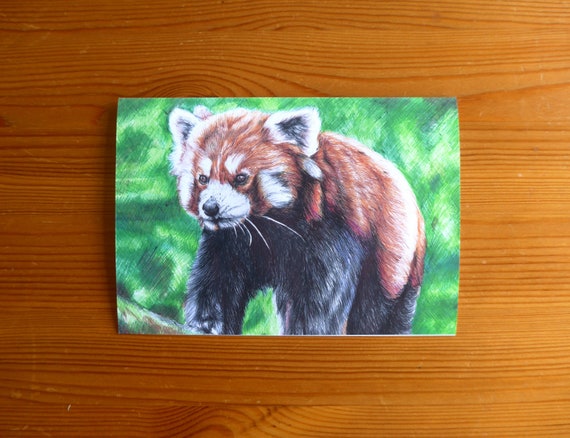 Red Panda Card Zoo Animal Art Card Red Panda Thank You | Etsy UK