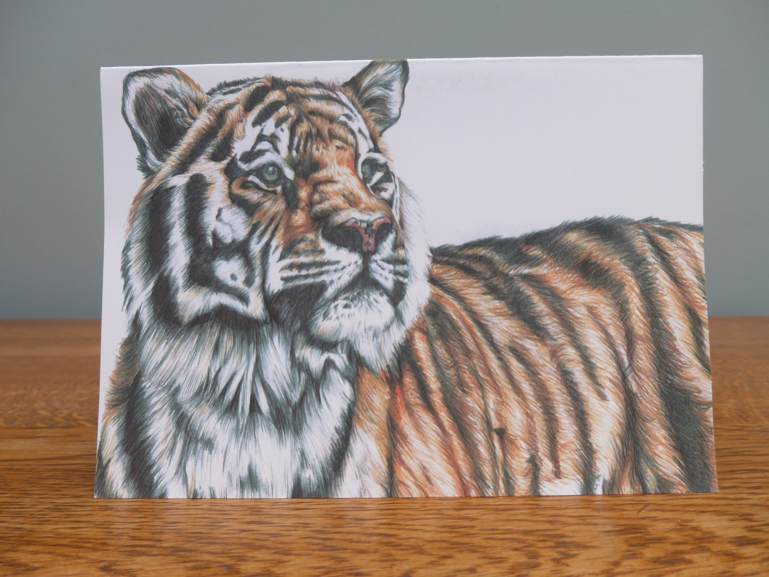 Tiger Happy Birthday Card Big Cat Card Tiger Biro Pen - Etsy UK