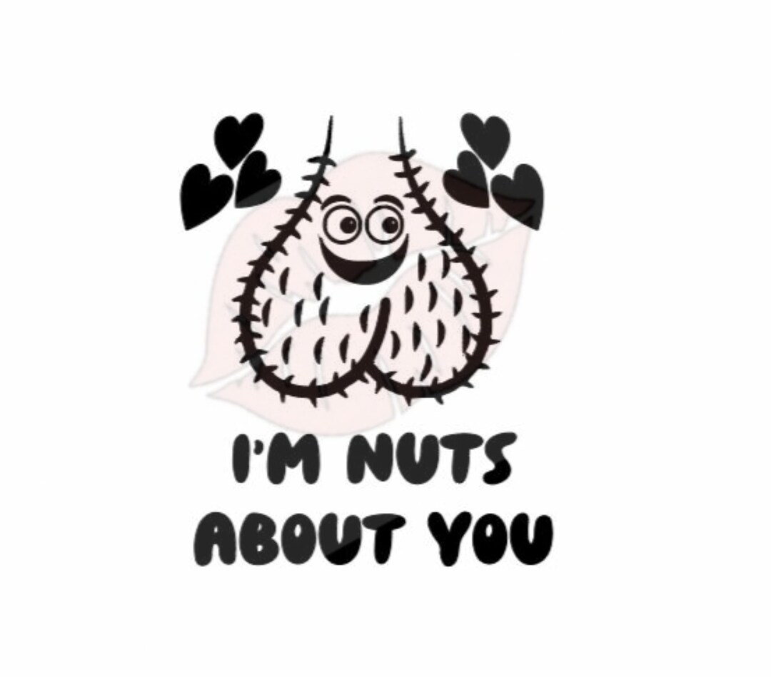 I'm Nuts About You Svg, Nuts Svg, Balls Svg, Ball Sack Svg, Valentines ...